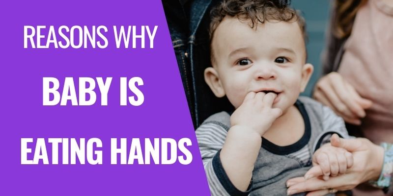 Here is why Baby Aggressively Eating Hands and Crying I empiricalmama